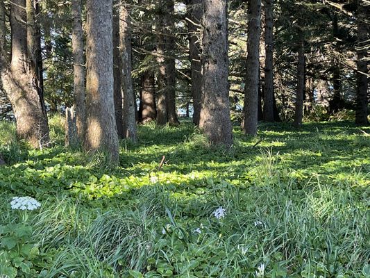 SAMUEL H BOARDMAN STATE SCENIC CORRIDOR - 89 Photos & 22 Reviews ...