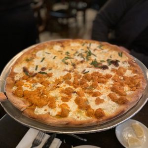 CAMPANIA COAL FIRED PIZZA - 42 Photos & 101 Reviews - 240 Page Ave ...