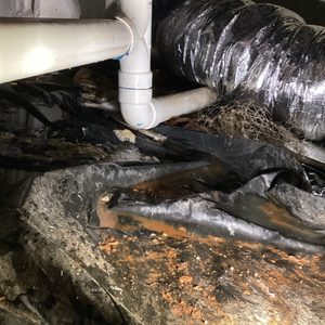 ERENTERPLAN - Updated May 2025 - 321 Reviews - 38 Executive Park ...