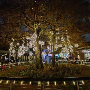 BAYOU WILDLIFE ZOO - 329 Photos & 121 Reviews - Zoos - 5050 FM 517 ...