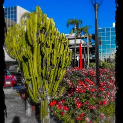 KAISER PERMANENTE RIVERSIDE MEDICAL CENTER - 156 Photos & 379 Reviews ...