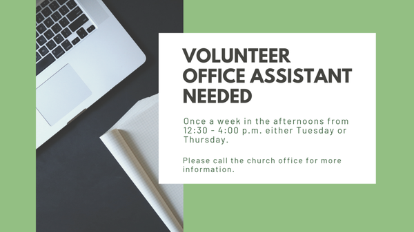 TRINITY UNITED METHODIST CHURCH - Updated May 2026 - 12 Photos - 213 ...
