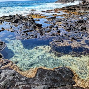 COCKROACH COVE - Updated January 2025 - 90 Photos & 25 Reviews - 8450 ...