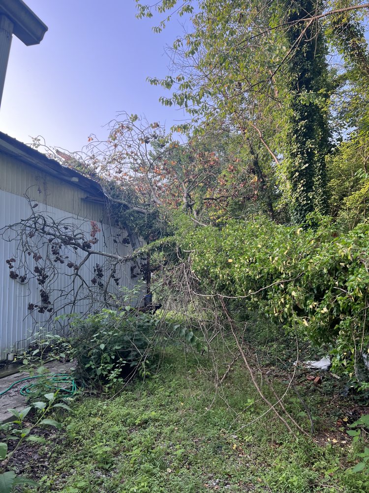 DAUGHERTY TREE SERVICE - Updated October 2025 - 102 Elm Dr Trafford ...