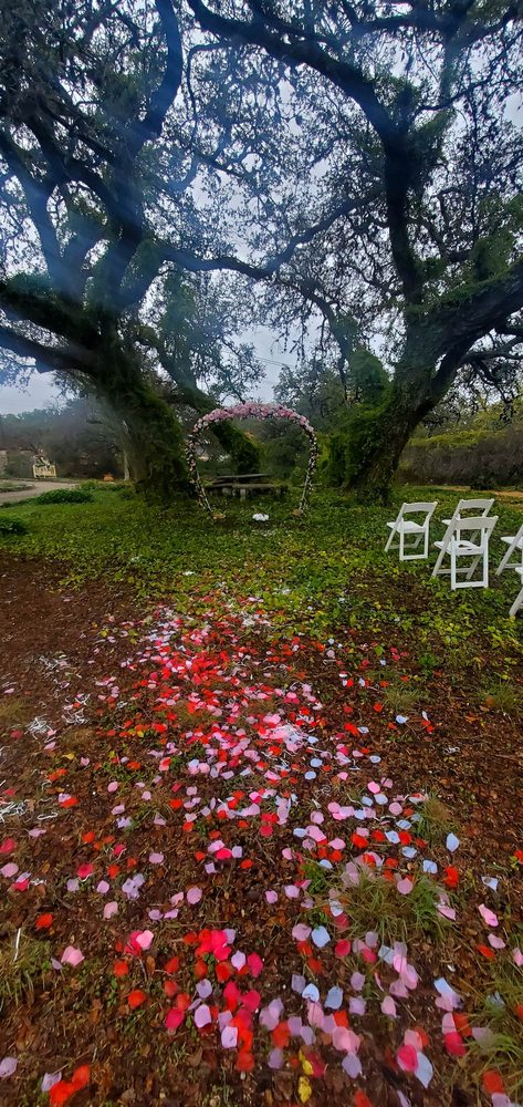 HISTORIC JACKSON RANCH - Updated May 2025 - 28 Photos - 8910 Callaghan ...