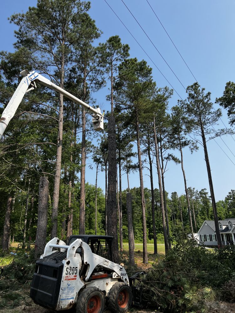 M&B TREE SERVICE & LANDSCAPE - Updated October 2025 - Request a Quote ...