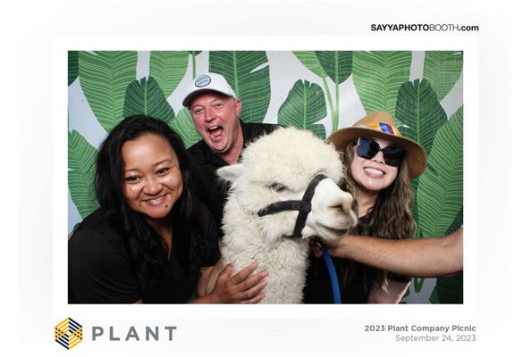 THE DINGLE FAMILY FARM AND STABLES - Updated November 2025 - 555 Photos ...