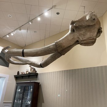 MAYBORN MUSEUM - Updated June 2025 - 183 Photos & 71 Reviews - 1300 S ...