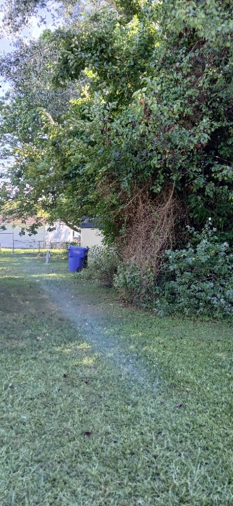 POWELL FAMILY TREE AND DEBRIS REMOVAL - Updated July 2024 - Request a ...