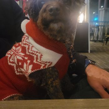 MAMA’S ON 39 - 3771 Photos & 5114 Reviews - 21022 Beach Blvd ...