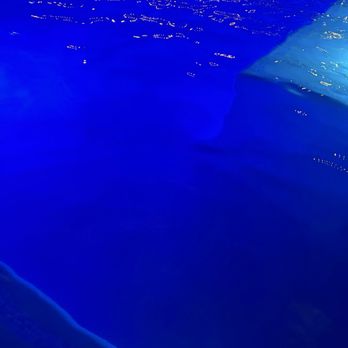 LEE HARVEY’S DIVE IN SWIM CLUB - Updated October 2025 - 25 Photos ...