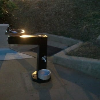 SELENA S BUTLER PARK - Updated January 2026 - 98 Wm Holmes Borders Dr ...