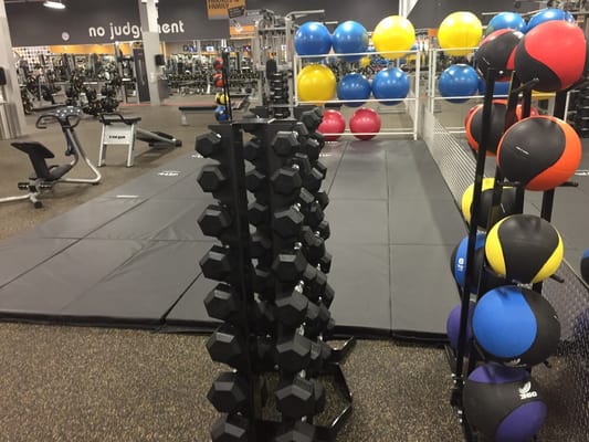 FIT4LESS THE QUEENSWAY - Updated December 2025 - 13 Reviews - 1255 The ...