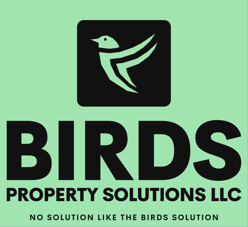 BIRDS PROPERTY SOLUTIONS - Updated October 2025 - Request a Quote ...