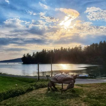 BUCK BAY SHELLFISH FARM - Updated August 2025 - 353 Photos & 224 ...