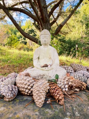 SPIRIT ROCK MEDITATION CENTER - 34 Photos & 79 Reviews - 5000 Sir ...