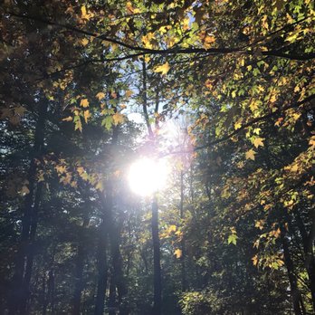 DEEP RIVER COUNTY PARK - Updated September 2025 - 23 Photos & 16 ...