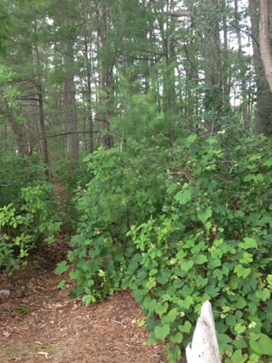 HAGGETTS POND - Updated December 2025 - 21 Photos - Haggett's Pond ...