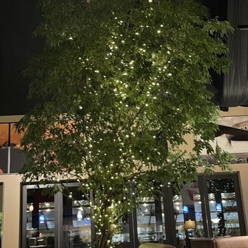 TOSCANO - Updated October 2025 - 359 Photos & 473 Reviews - 11450 S ...