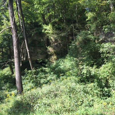 BACKBONE STATE PARK - Updated July 2025 - 25 Photos - Dundee, Iowa ...