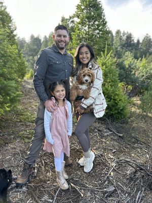 SKYLINE RANCH TREE FARM - Updated August 2025 - 30 Photos & 33 Reviews ...