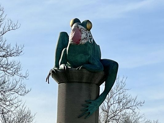 THE FROG BRIDGE - Updated January 2026 - 28 Photos - South St ...