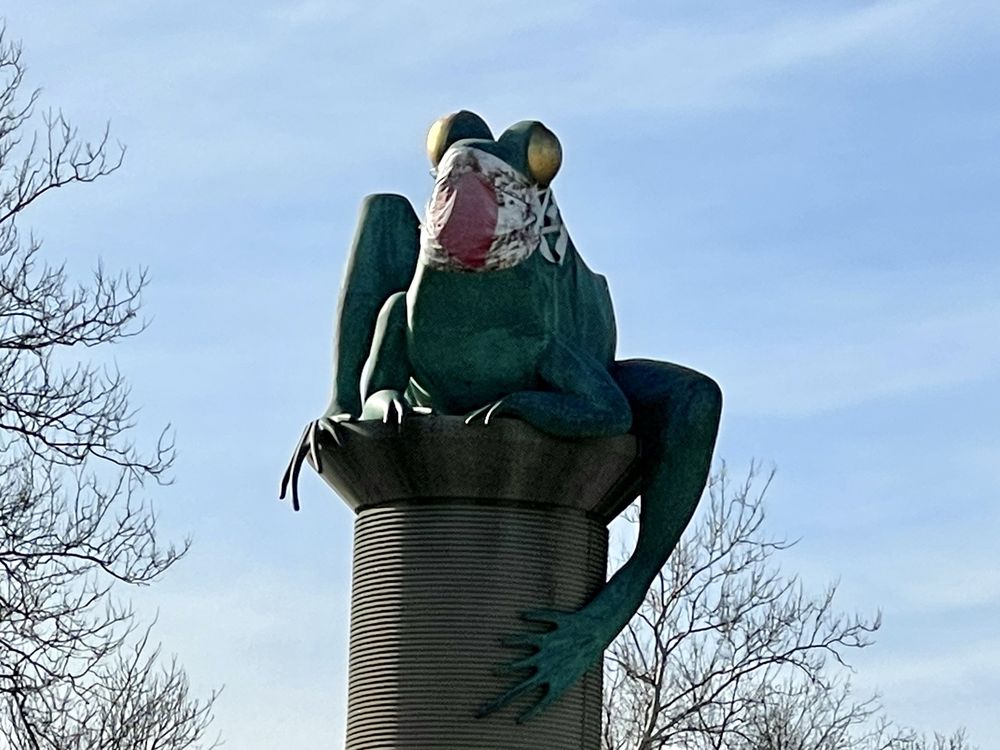 THE FROG BRIDGE - Updated December 2025 - 28 Photos - South St ...