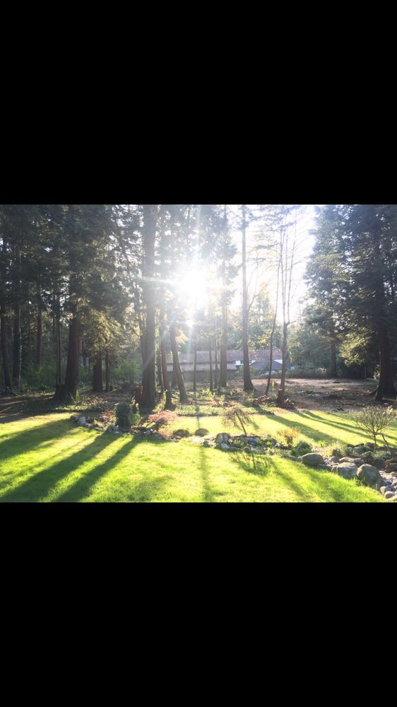 RUBY TREE CARE - Updated August 2025 - Request a Quote - Langley, British Columbia - Tree ...