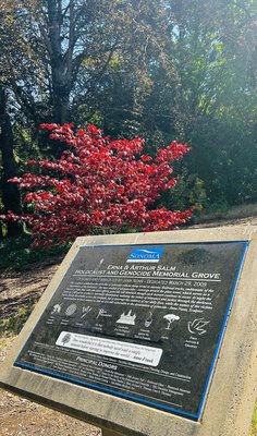 SONOMA STATE UNIVERSITY - Updated March 2025 - 98 Photos & 79 Reviews ...