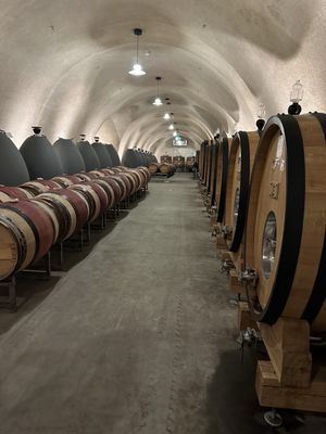 PALMAZ VINEYARDS - Updated April 2025 - 317 Photos & 161 Reviews - 4029 ...