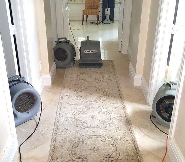 BOCA’S BEST CARPET AND DRAPERY CLEANING SERVICE - Updated December 2024 ...