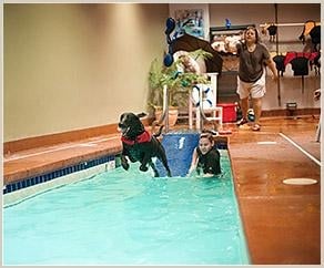 OLDE TOWNE PET RESORT - Updated October 2025 - 131 Photos & 214 Reviews ...