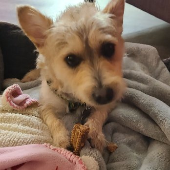 FRIENDS FOR LIFE ANIMAL RESCUE - Updated January 2026 - 43 Photos & 59 ...