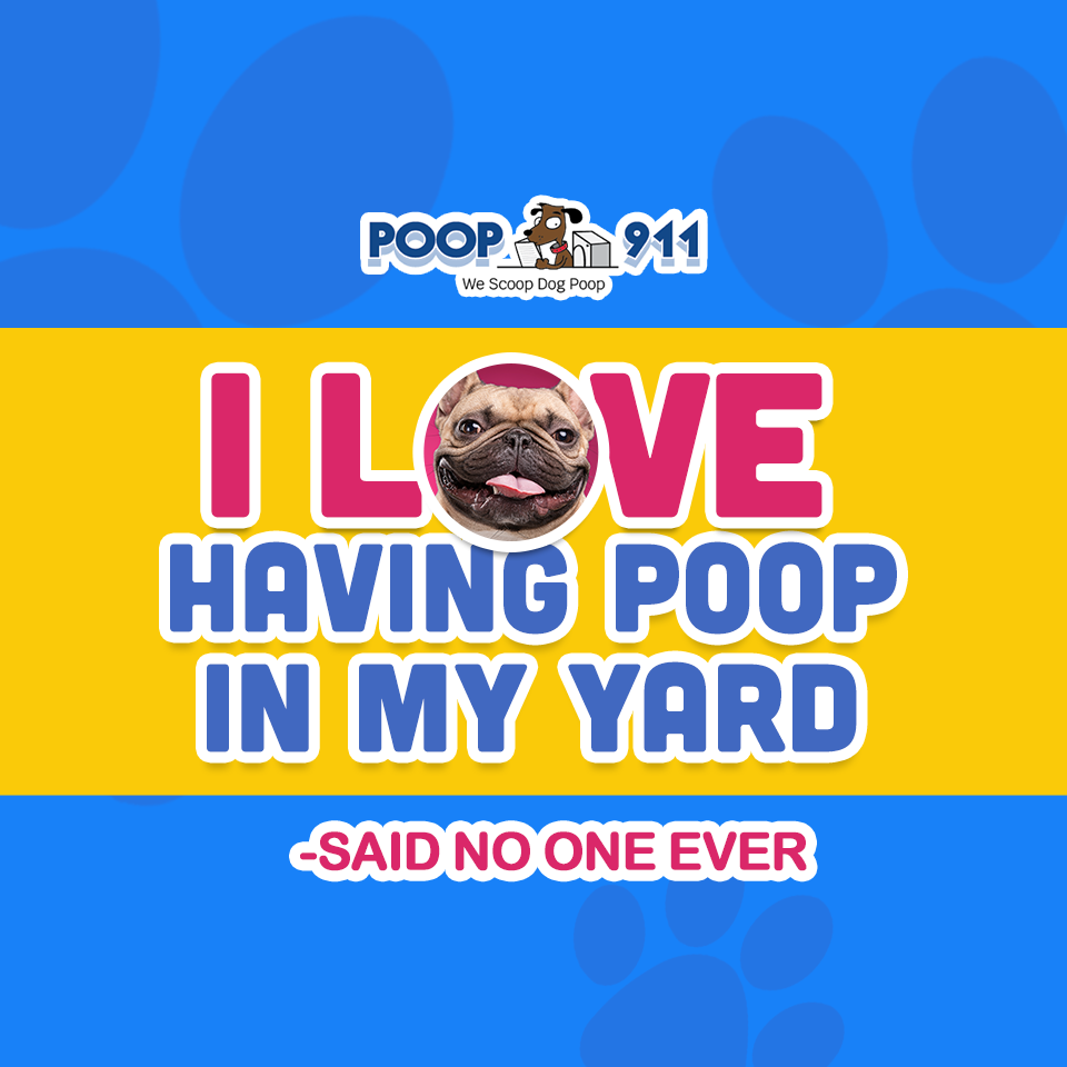 POOP 911 - Updated April 2025 - Request a Quote - 10 Photos ...