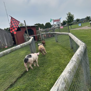 HARBES FAMILY FARM & VINEYARD - Updated May 2025 - 822 Photos & 296 ...