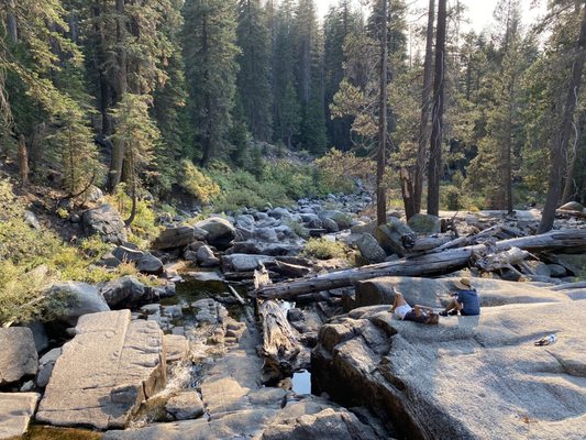 LODGEPOLE CAMPGROUND - Updated July 2024 - 138 Photos & 102 Reviews ...