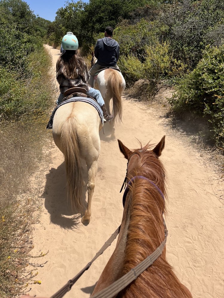 Horses: Stitch and Red Bull - Yelp