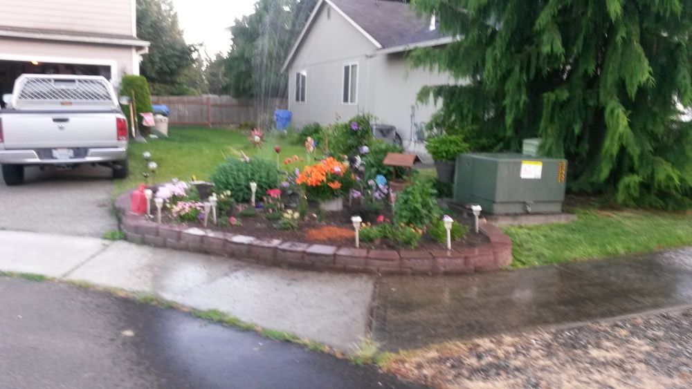 SHAMELESS CLEANING - Updated April 2025 - Request a Quote - Graham ...