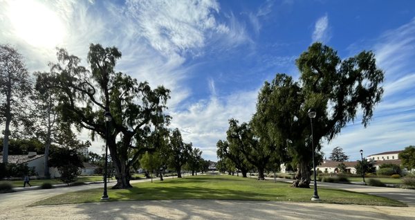 CSU CHANNEL ISLANDS - Updated October 2025 - 161 Photos & 51 Reviews ...