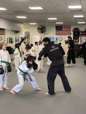 SWIFTKICK MARTIAL ARTS - Updated September 2024 - 75 Photos & 51 ...