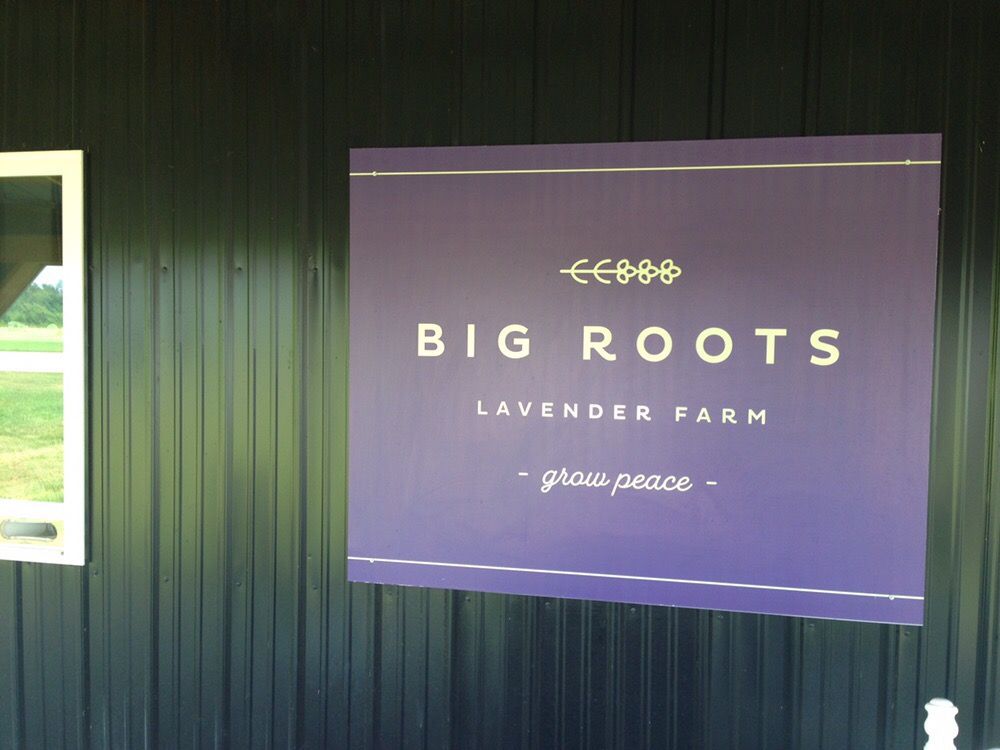 BIG ROOTS FARM - 3204 Truman Young Rd, Hawesville, Kentucky - Farms ...