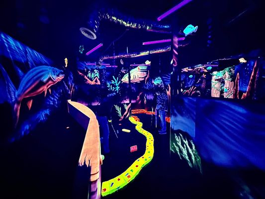 SHANKZ 3D BLACK LIGHT MINI GOLF AND PIZZA - Updated December 2025 - 69 ...