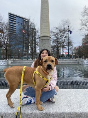 LIFELINE ANIMAL PROJECT - Updated December 2025 - 48 Photos & 92 ...