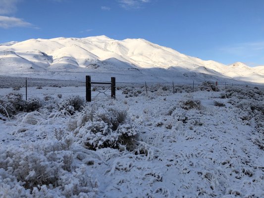 PYRAMID LAKE PAIUTE TRIBE - 138 Photos & 27 Reviews - 2500 Lakeview Dr ...