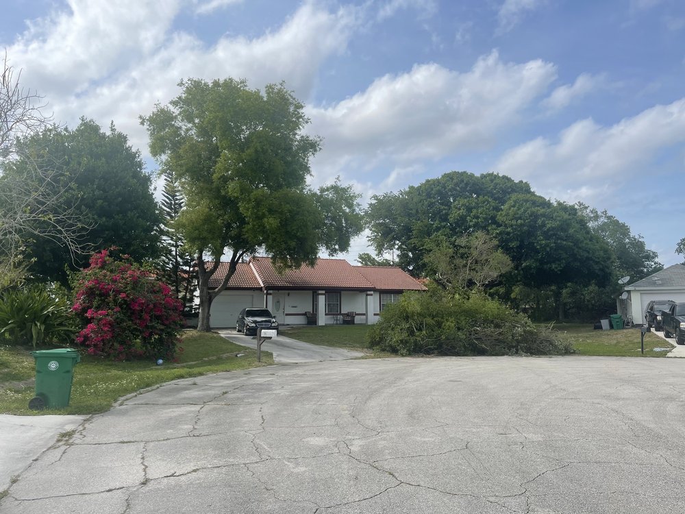 KAT TALE TREE TRIMMING - Updated July 2025 - 21 Photos - 933 SW Liberty ...