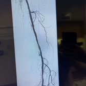 ROBERT B. MOGHIMI, MD GASTROENTER - Updated April 2025 - 12 Reviews ...