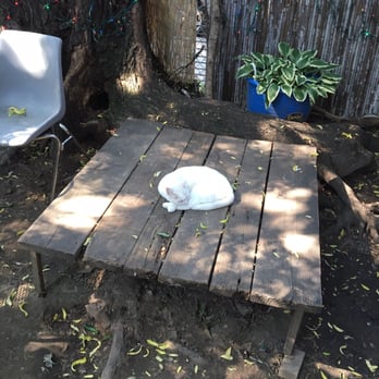 THE EL BAR - Updated December 2025 - 53 Photos & 166 Reviews - 1356 N ...