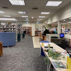 IRVING AUSTIN CHICAGO PUBLIC LIBRARY - Updated September 2025 - 11 ...