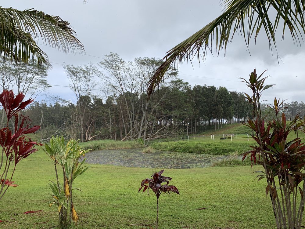 WAI KOA LOOP TRAIL - 138 Photos & 34 Reviews - 5-2723 Kuhio Hwy ...