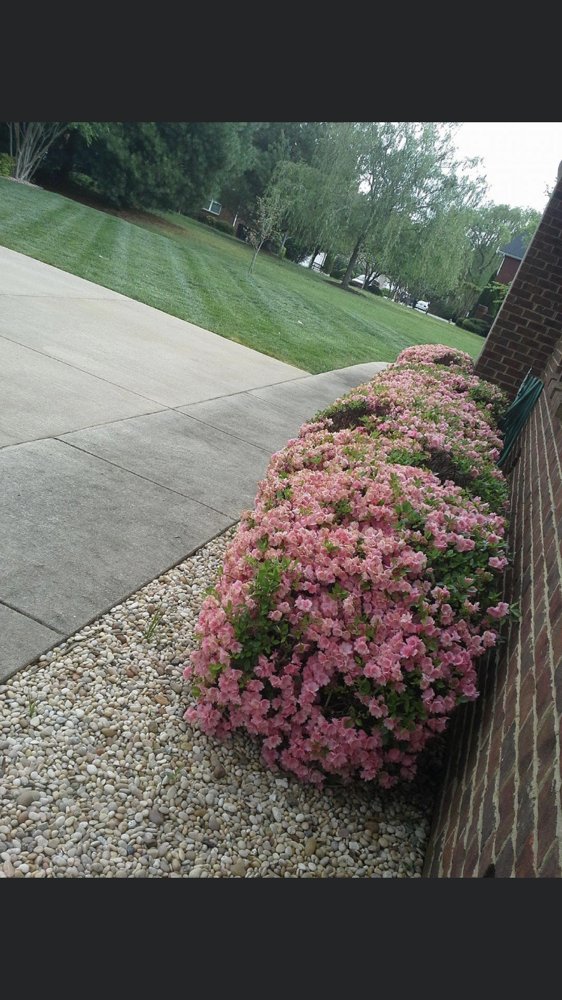 VEGA LANDSCAPING - Murfreesboro, Tennessee - Landscaping - Phone Number ...